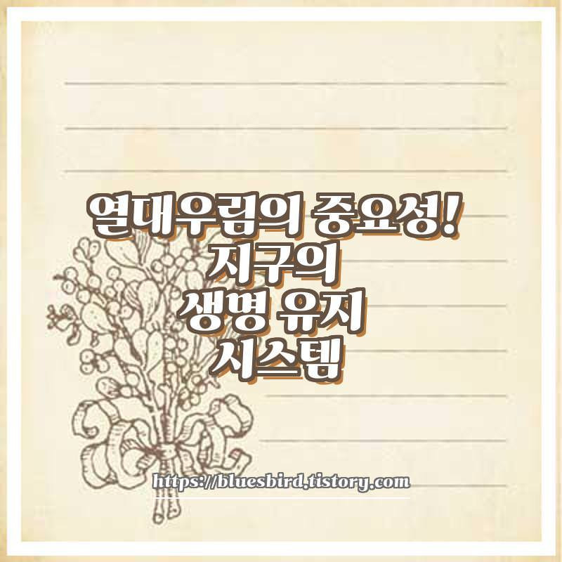 열대우림의 중요성 지구의 생명 유지 시스템