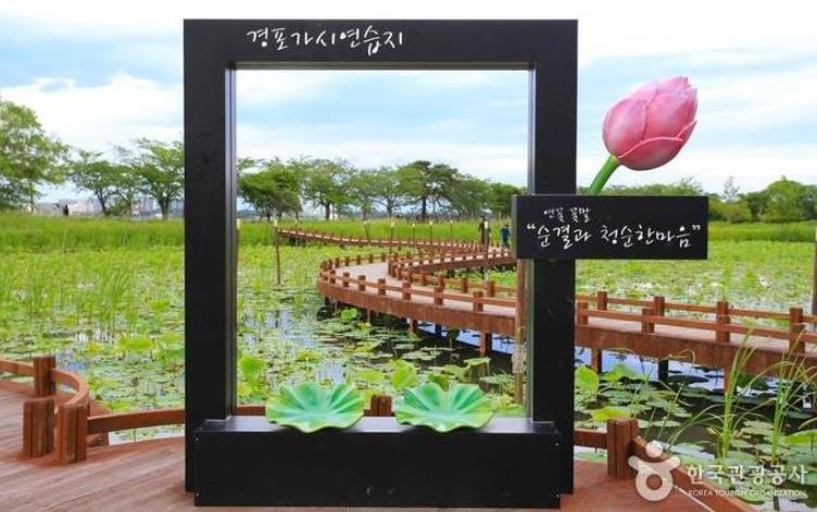 강릉 당일치기 여행코스 추천 10 순위 해프릭스