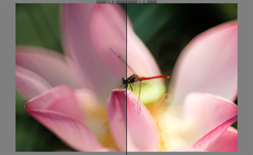 사진강좌 보정팁 07 어도비 포토샵 라이트룸adobe Photoshop Lightroom Cc 사진을 밝고 선명하게 보정하기