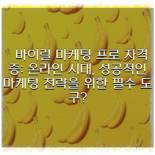 바이럴 마케팅 프로 자격증 온라인 시대 성공적인 마케팅 전략을 위한 필수 도구