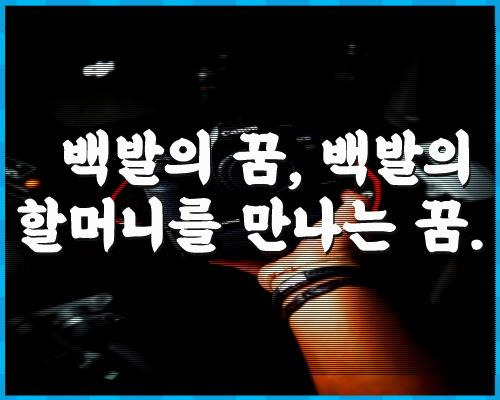 백발의 꿈 백발의 할머니를 만나는 꿈