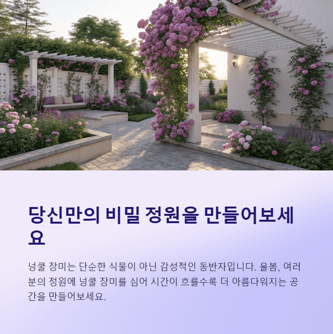 넝쿨 장미 키우기 꺽꽂이삽목 시기 및 방법 울타리 지지대 병충해 묘목 심기 꽃말