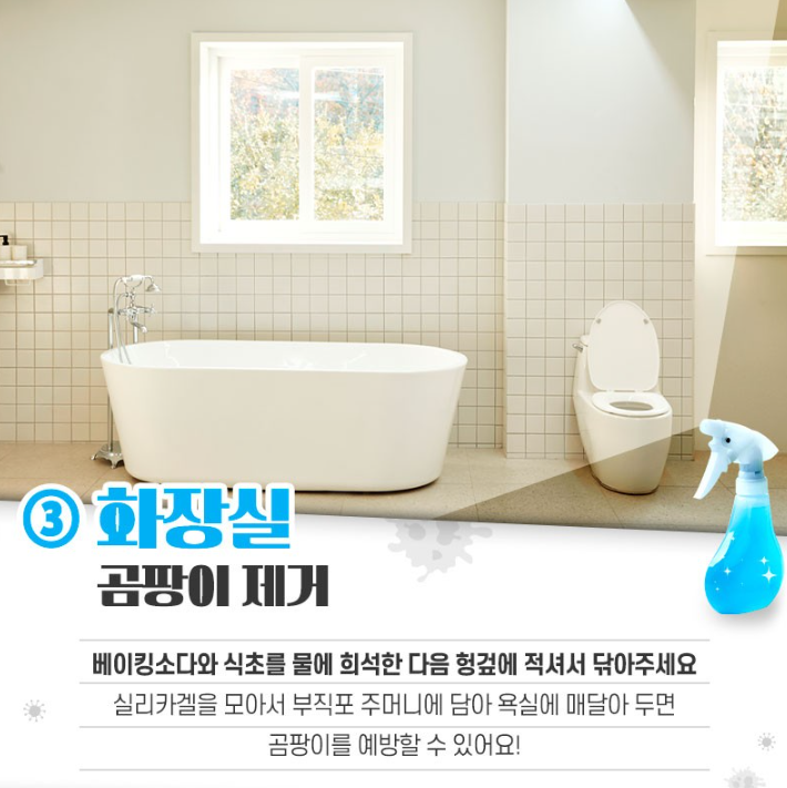 곰팡이 제거방법 5가지