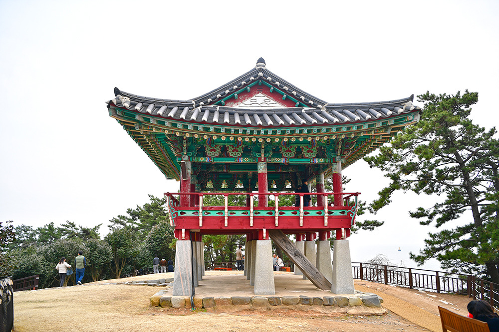 충남 서천 마량리 동백나무 숲 조금 늦게 꽃을 피워 더 특별한 축제 서천 동백꽃 주꾸미 축제 충남 서천 동백꽃 축제