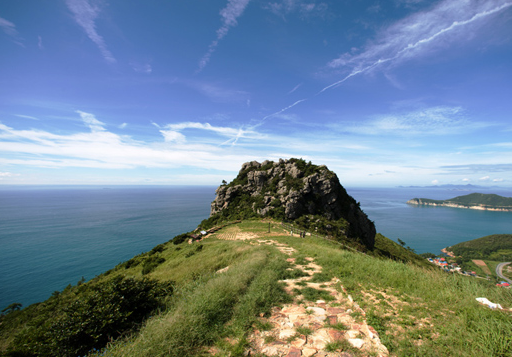 2025 청산도 배시간표 및 예약 방법 총정리 – 완도항 출발부터 차량 선적 요금표