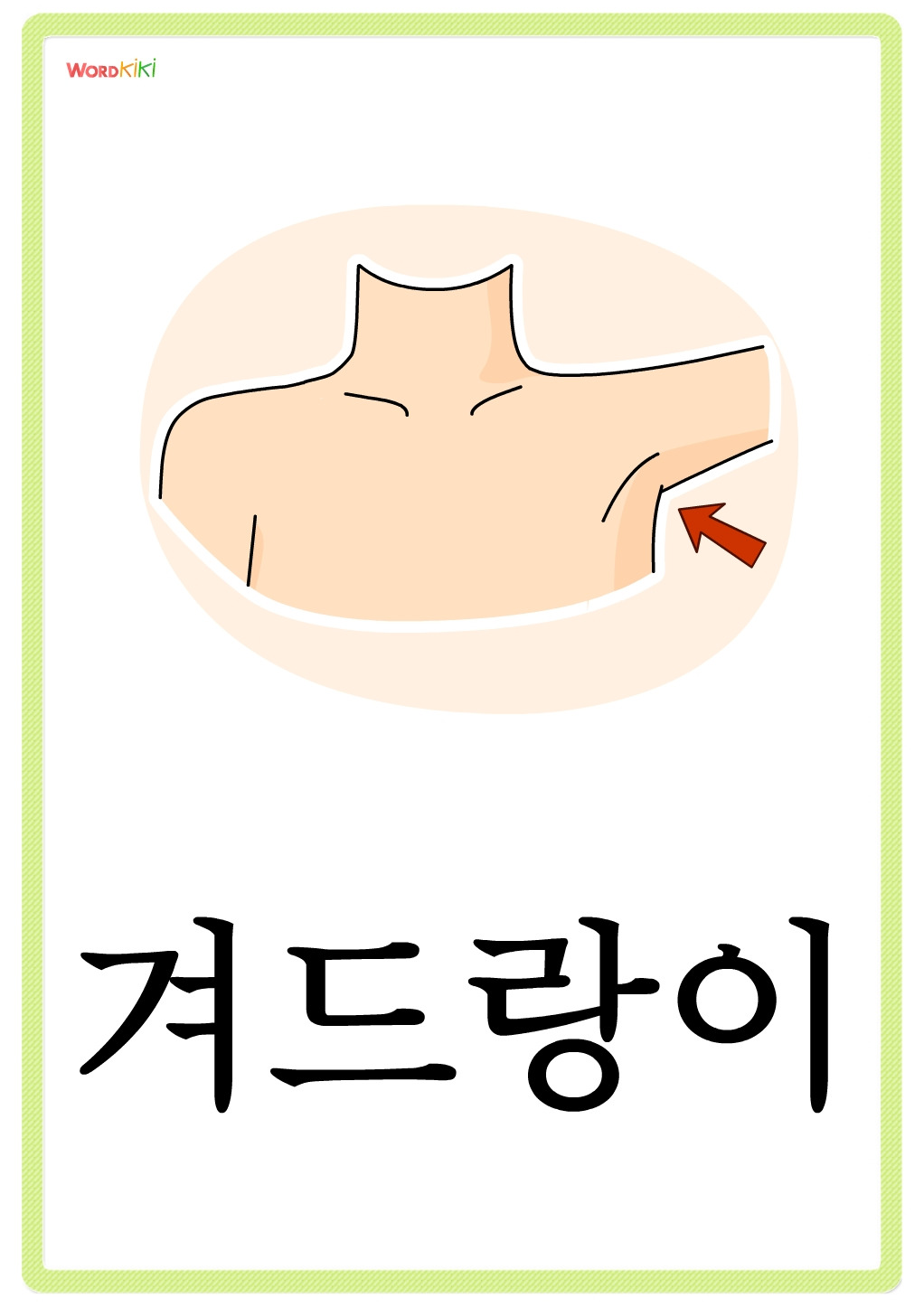 신체단어카드 18장 08 신체 한글 낱말카드 한글카드