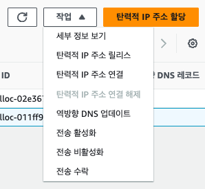 [aws] EC2에 탄력적 IP (Elastic IP, EIP) 주소 연결하는 방법 by bskyvision.com