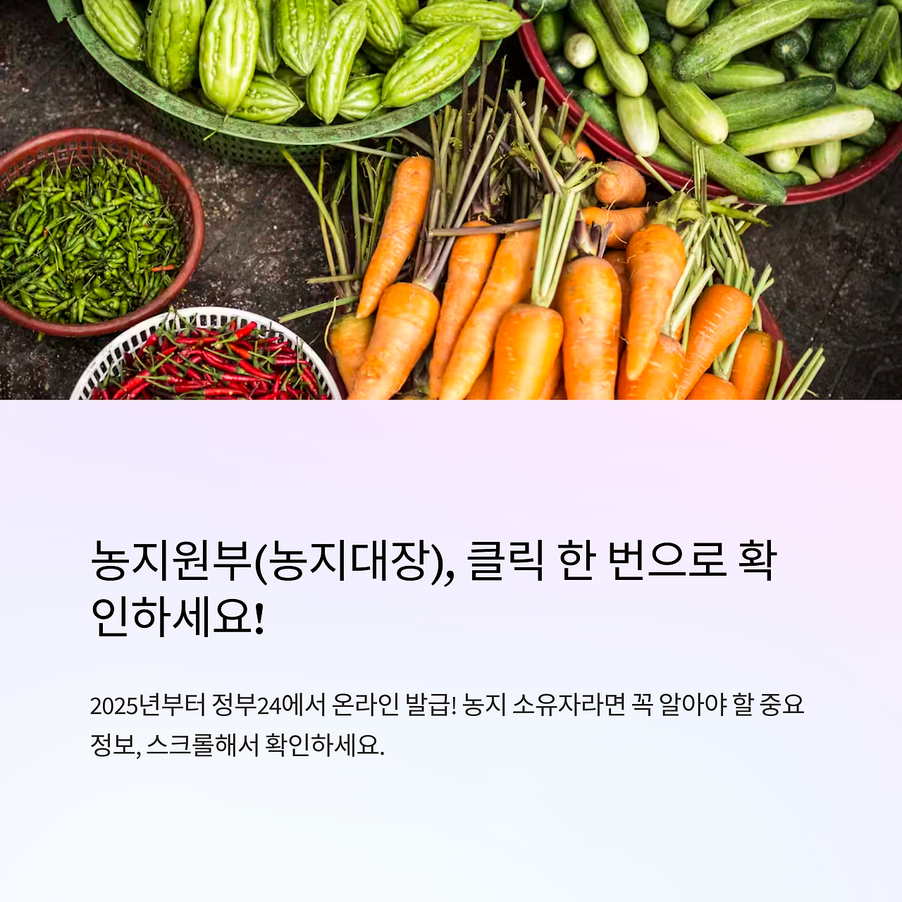 농지원부농지대장 인터넷 발급 방법 이젠 온라인으로 간편하게 2025년 최신 가이드
