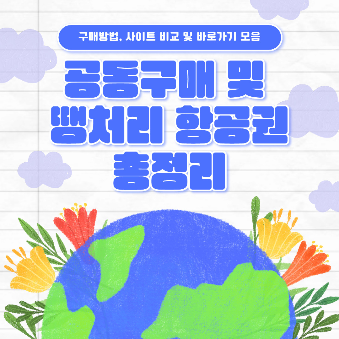 공동구매 및 땡처리 항공권 총정리 구매방법 사이트 비교 바로가기