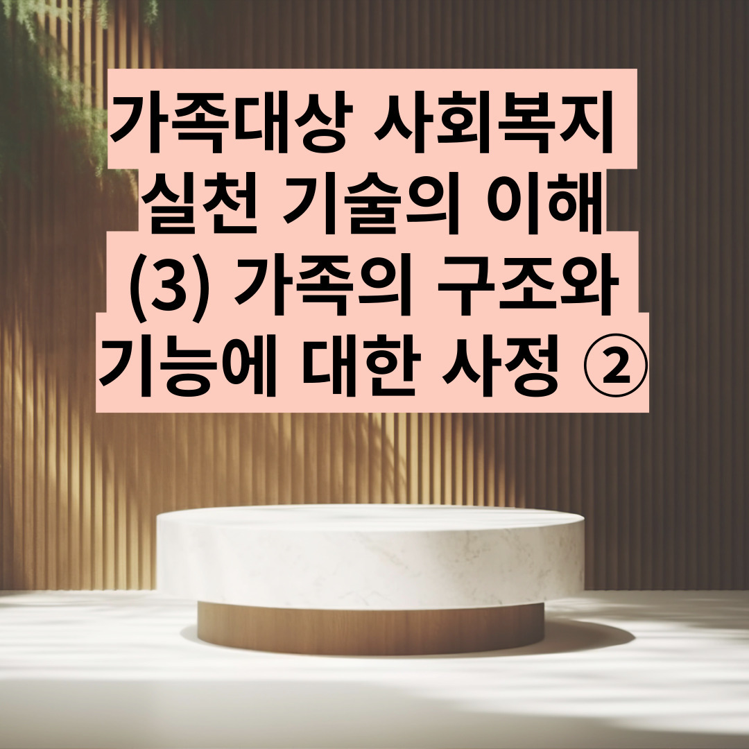 가족대상 사회복지 실천 기술의 이해 3 가족의 구조와 기능에 대한 사정 ②