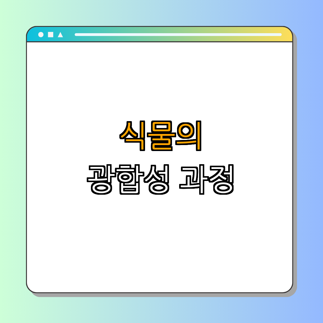 광합성 빛 에너지 변환 화학 에너지 생성 환경 조절 생명 유지 총정리