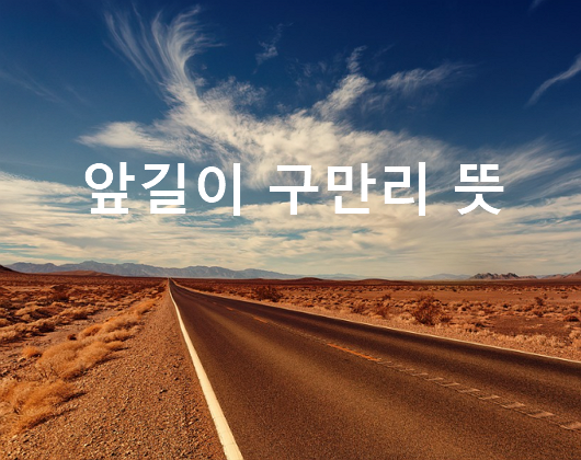 앞길이 구만리 뜻 속담 예시
