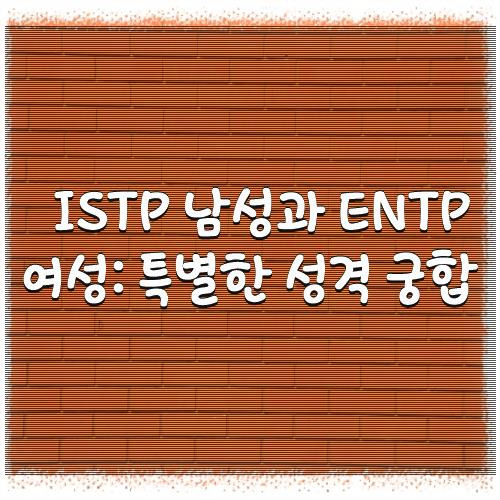 Istp 남성과 Entp 여성 특별한 성격 궁합