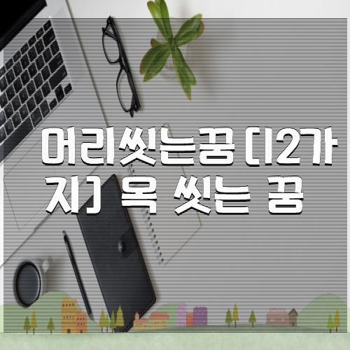 머리씻는꿈 12가지 목 씻는 꿈