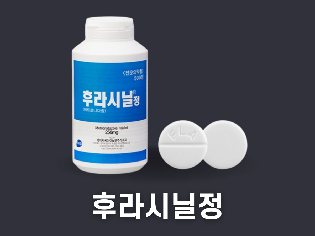 후라시닐정 술 부작용 항생제 방광염 질염 치료제