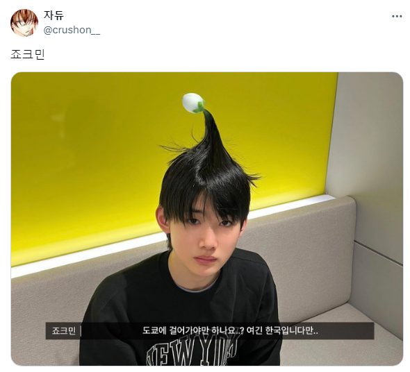 [월간 2024밈] 11월 편 - 11월 밈집핑💓 HSAD 공식 블로그 HSADzine