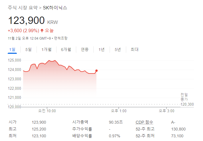 Sk하이닉스 주식 전망과 배당금 한눈에 살펴보기