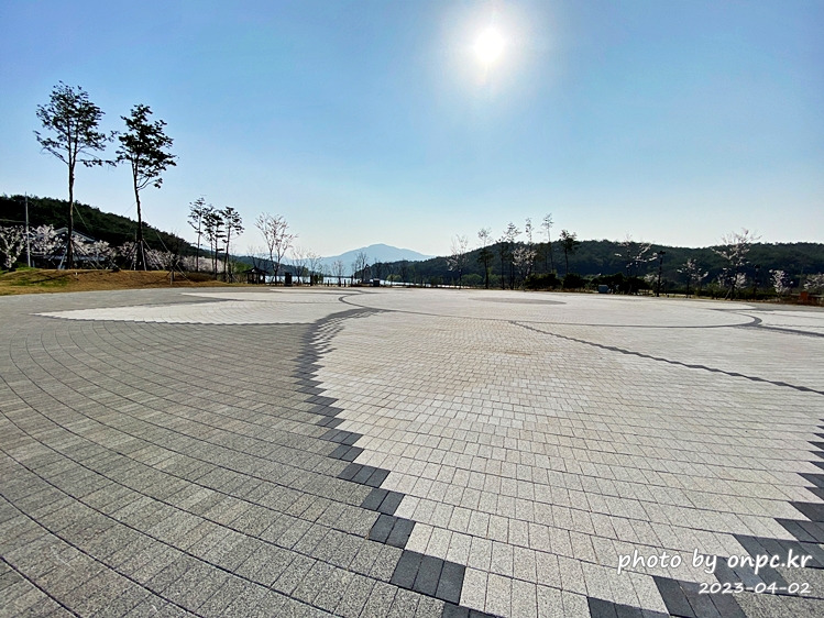 경주벚꽃 숨은 벚꽃 명소 영지설화공원 호수 옆 벚꽃 터널~ Onpc
