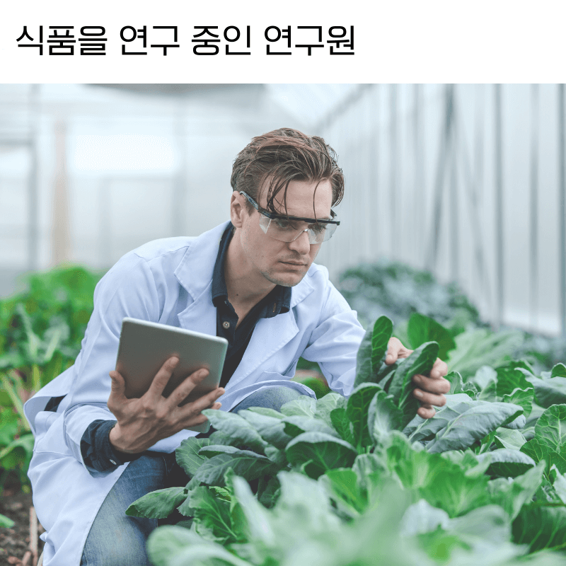 Gmo식품 장단점 찬성 반대 장점 단점 알아봐요