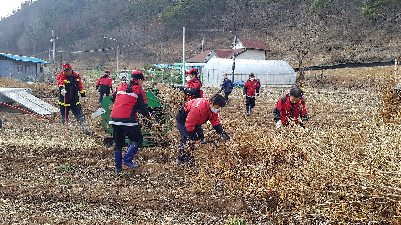 평창군 산불 사전예방을 위한 인화물질 제거 실시