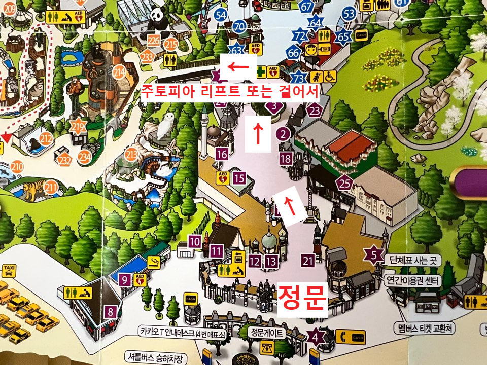 에버랜드 준비물 사파리부터 놀이기구까지 동선 추천어린이놀이기구 키제한