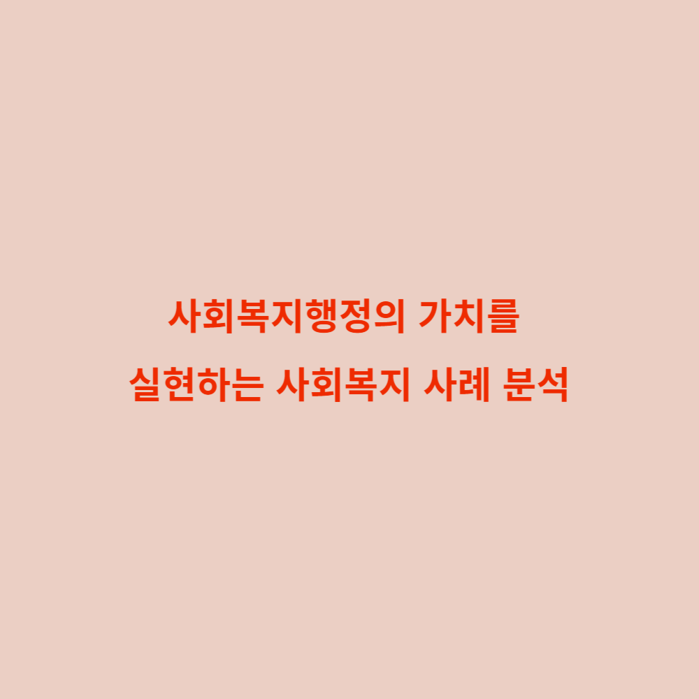 사회복지행정론 사회복지행정의 가치를 실현하는 사회복지 사례 분석