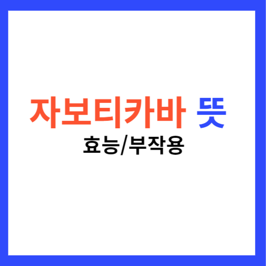 자보티카바 뜻 효능 부작용