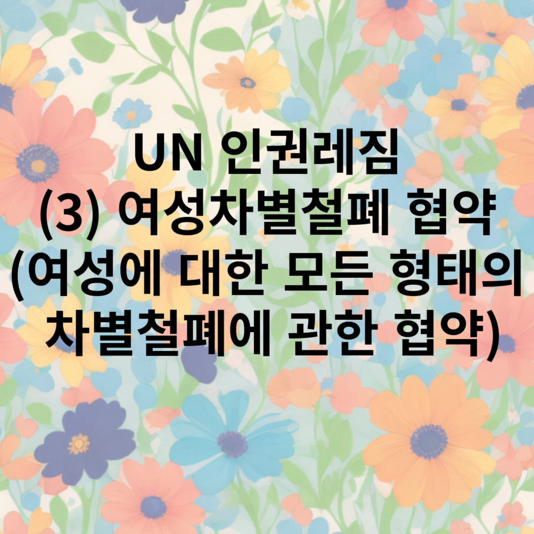 Un 인권레짐 3 여성차별철폐 협약 여성에 대한 모든 형태의 차별철폐에 관한 협약