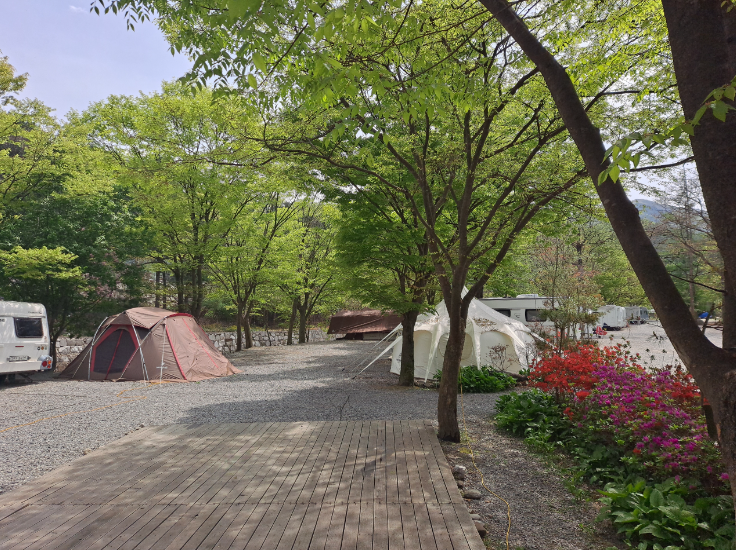 경기 가평 밤벌 캠핑장 예약 방법 애견 동반 가격 주소 시간 후기 댕댕캠핑 전국 애견동반 캠핑장