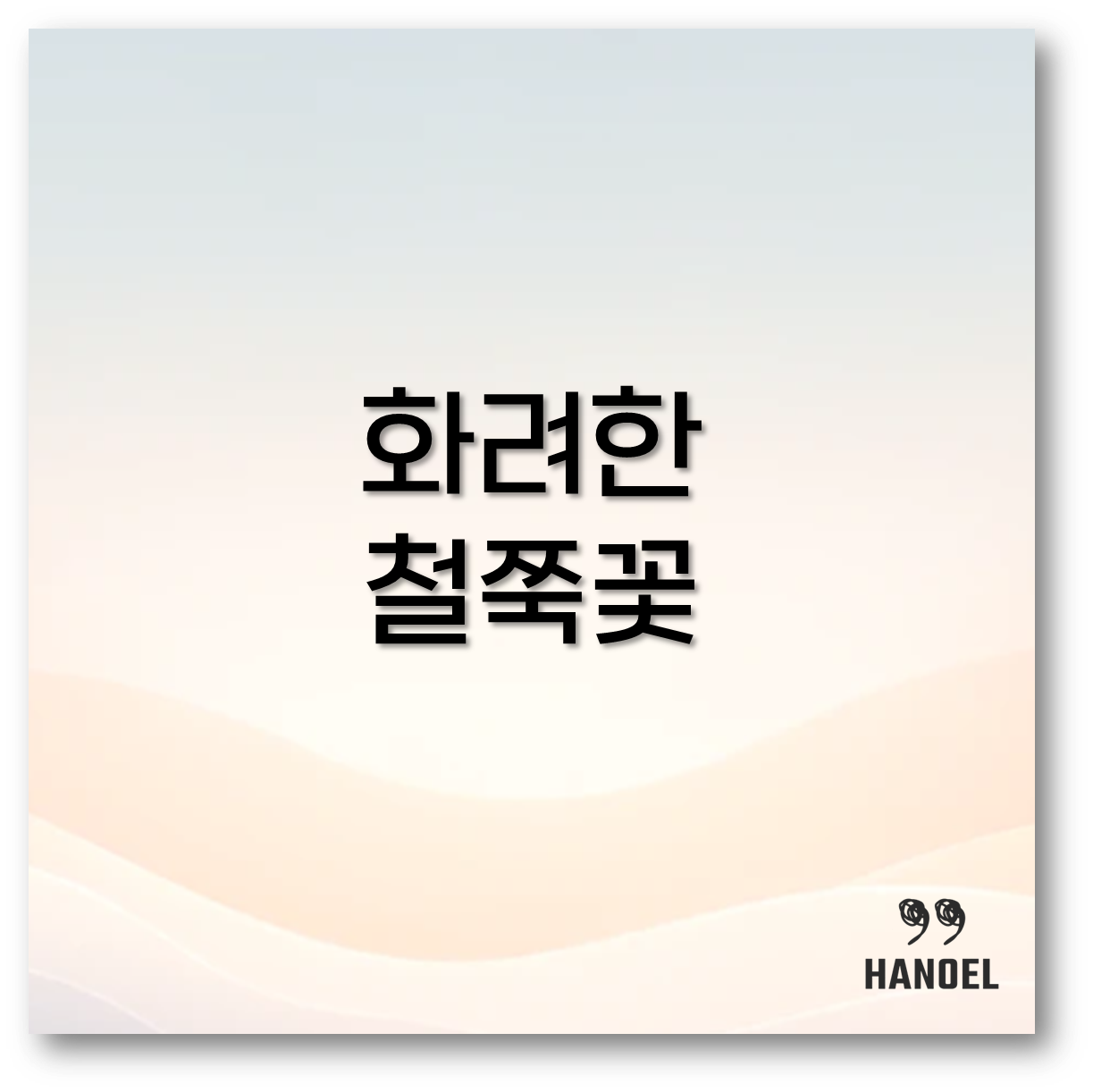 화려한 철쭉꽃 개화시기와 황매산 철쭉축제부터 꽃말 분재 관리까지 알아봅시다