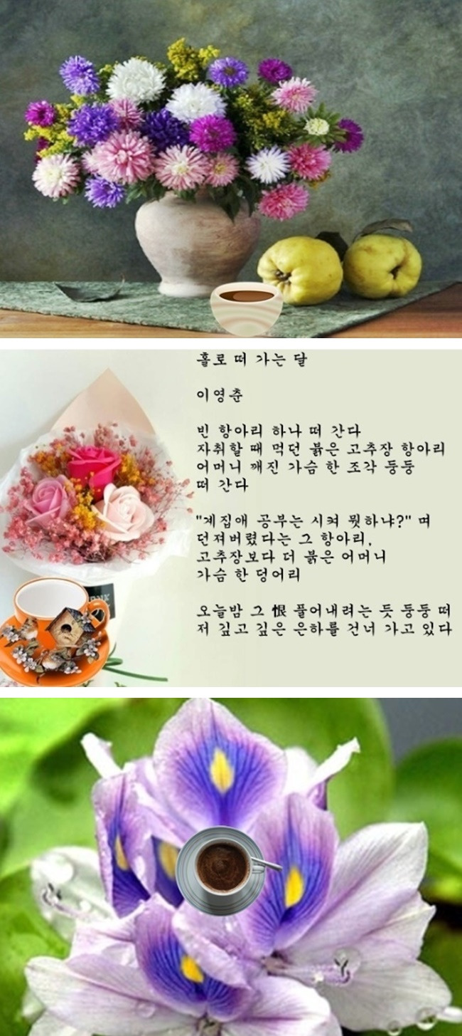 홀로 떠 가는 달 이 영 춘