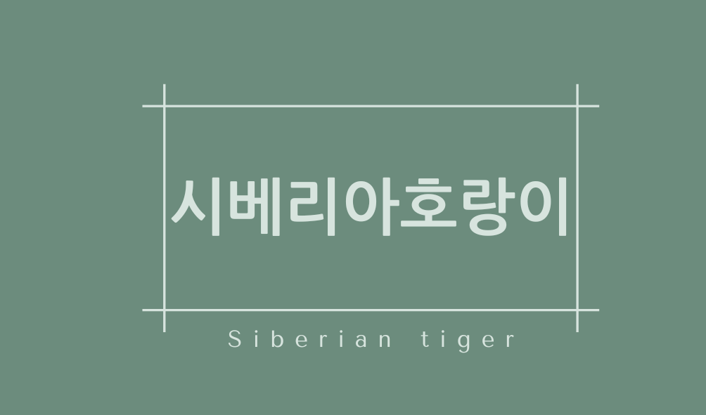 시베리아호랑이siberian Tiger특징서식지종류천적수명몸무게꿈해몽
