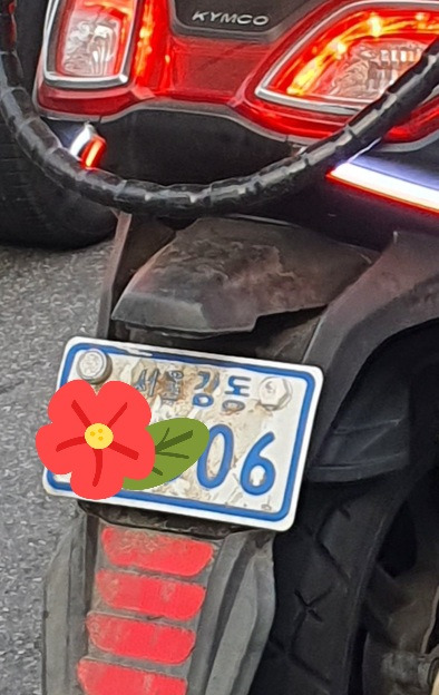 오토바이 불법행위 과태료 및 신고요령신호위반 중앙선 침범 등