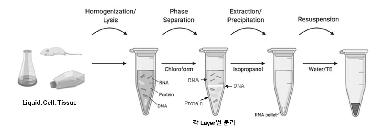 Trizol을 이용한 RNA 추출 원리 :: 정보를 주는 앙과장