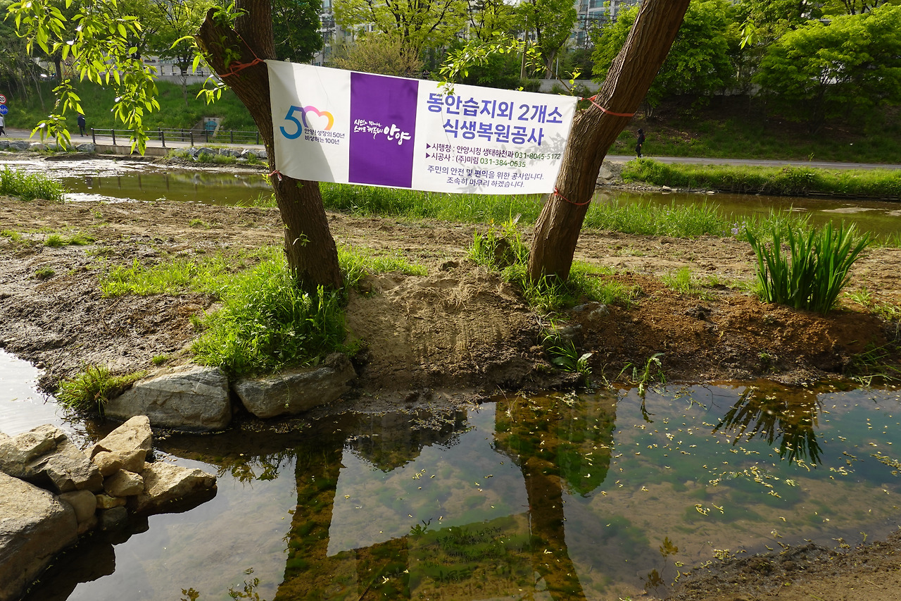 20230423 안양 학의천 학운습지 식생복원공사 준비중