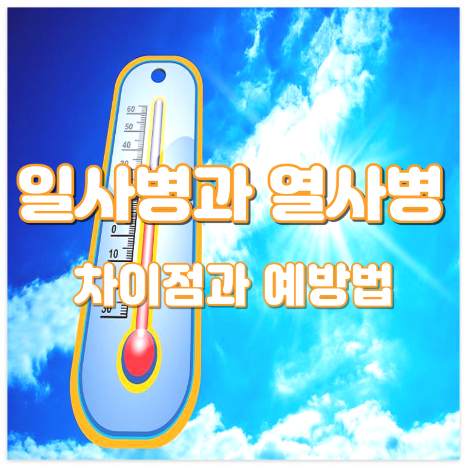 일사병과 열사병의 차이점과 예방법을 알아봅시다