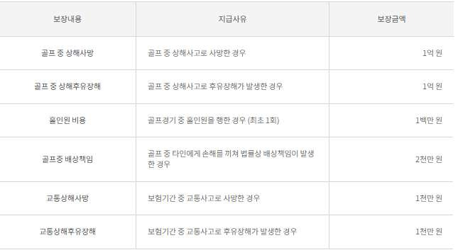 홀인원 보험 5가지 비교 Kb손해 삼성화재 현대해상 Db 롯데