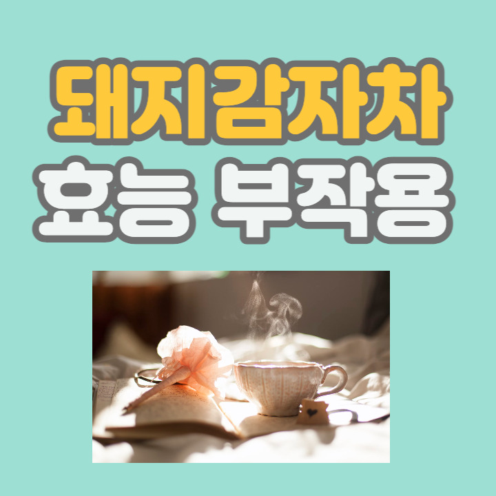 돼지감자차 효능 부작용 먹는 법 공개