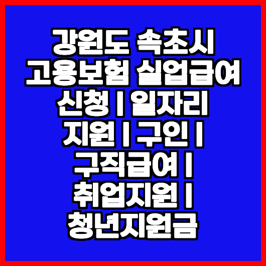 강원도 속초시 고용보험 실업급여 신청 일자리 지원 구인 구직급여 취업지원 청년지원금