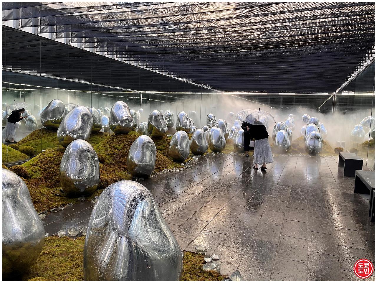 도쿄 볼거리 Teamlab Planets Tokyo 팀랩 플래닛 도쿄 도요스 체험형 디지털 전시관