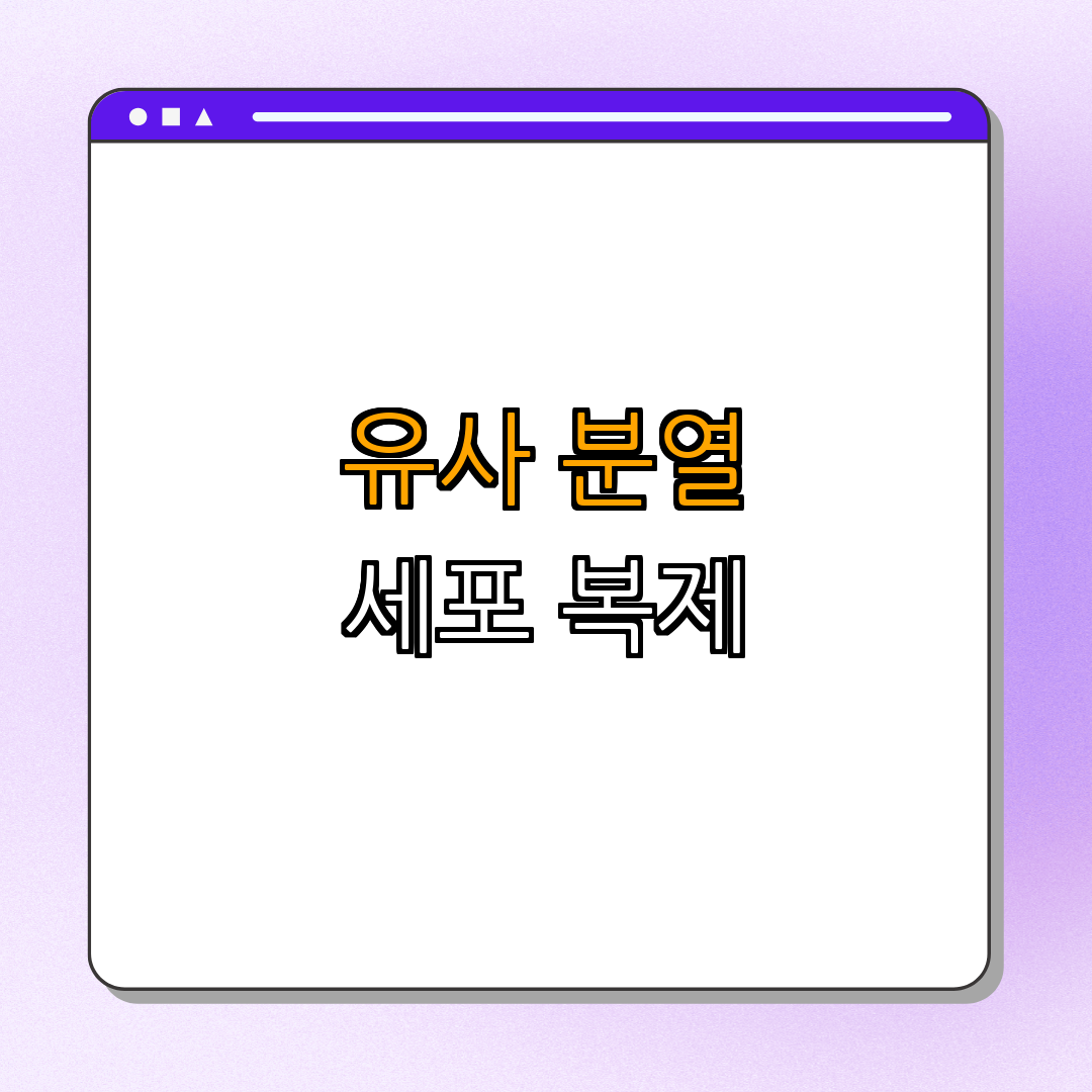 세포 분열 유사 분열과 감수 분열의 차이점 알아보자 비교하자 이해하자 탐구하자 총정리