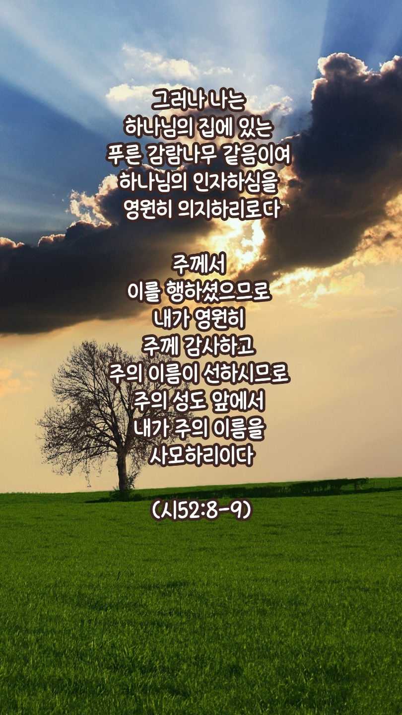 나는 하나님의 집에 있는 푸른 감람나무 같음이여 하나님의 인자하심을 영원히 의지하리로다