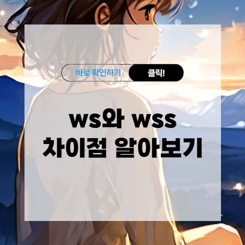 ws와 wss 차이점 알아보기 - 빠르게 보여준다