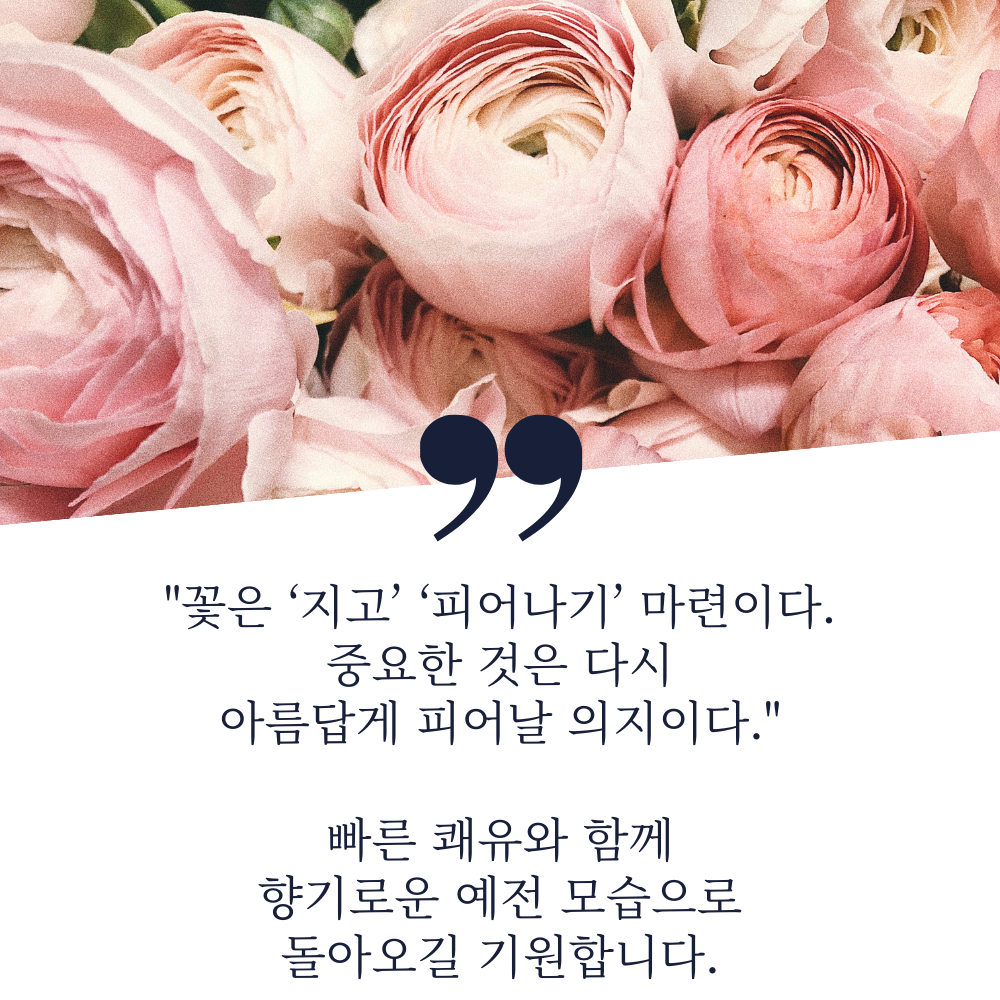 쾌유를 바라는 글귀 좋은 글 모음 이미지