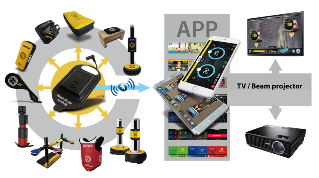 About ZEMITA System