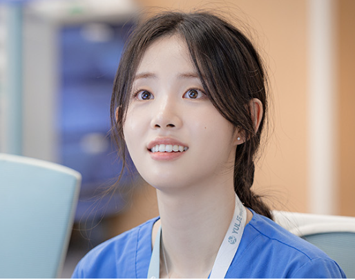 언젠가는 슬기로울 전공의생활 출연진 등장인물 인물관계도 기본정보 줄거리 총정리