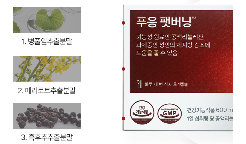 닥터블릿 푸응 팻 버닝 성분 효과 가격 홈페이지 부작용 복용법 후기