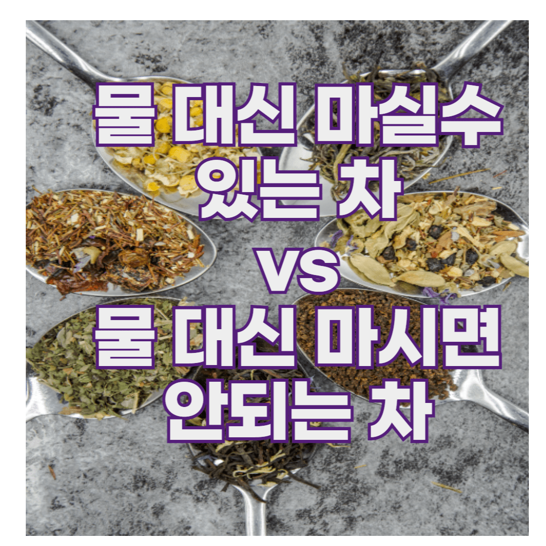 물 대신 마실 수 있는 차와 마실 수 없는 차 차의 한의학적 성질