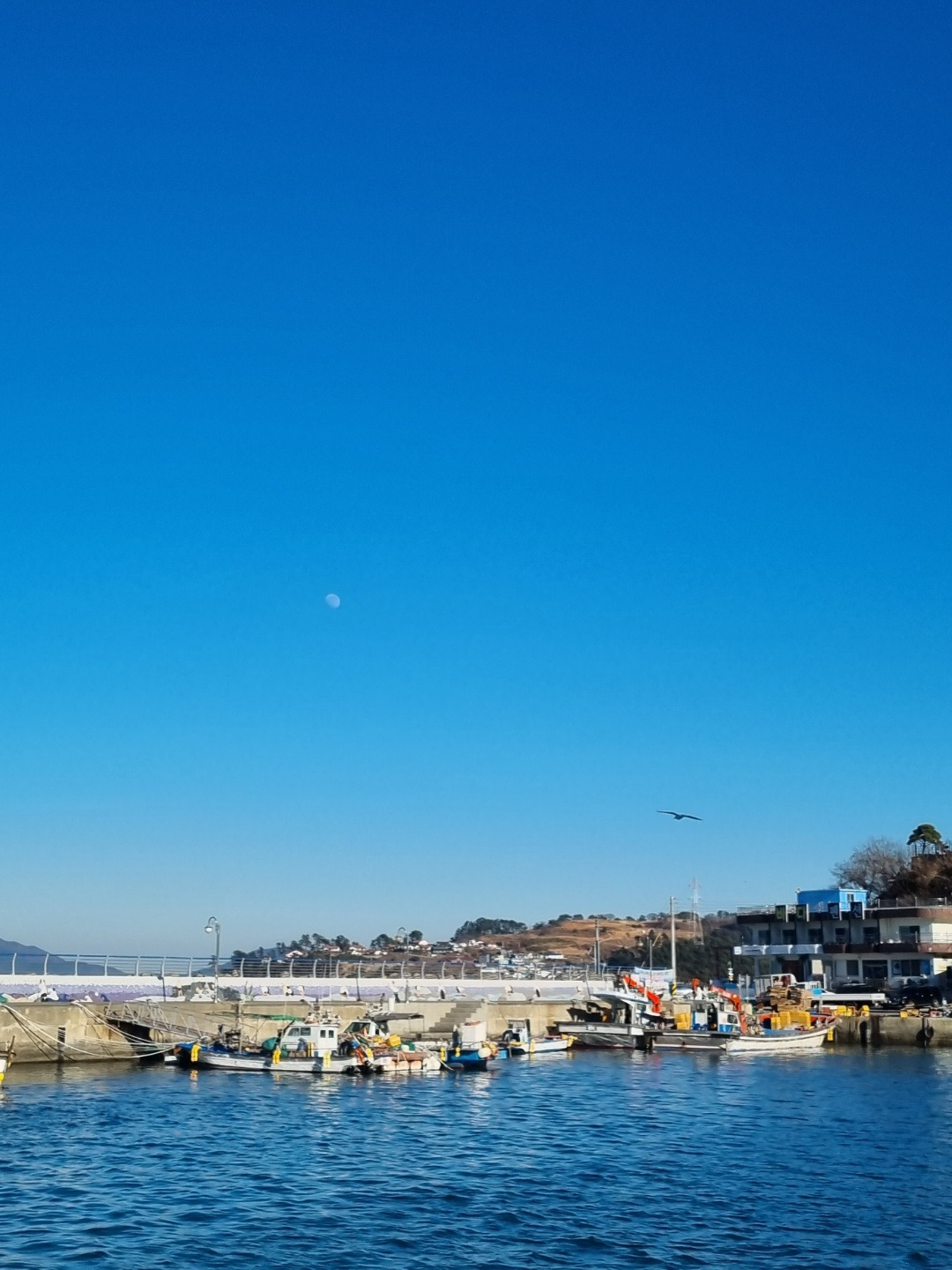 섬 섬마을 거제 이수도 섬마을 1박 3식 학교민박