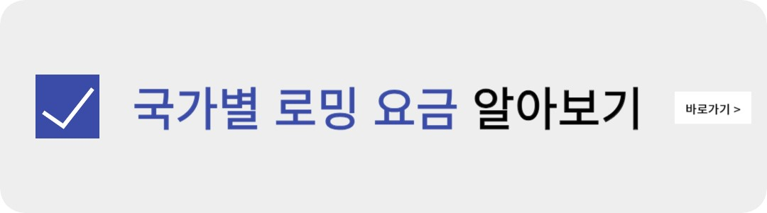 Sk해외로밍 문자sms로밍 데이터로밍 해외로밍요금 And유의사항